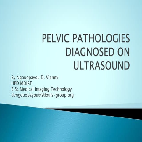 PELVIC PATHOLOGIES.pptx