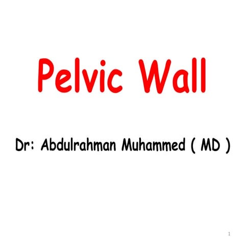 Pelvic Wall.pptx