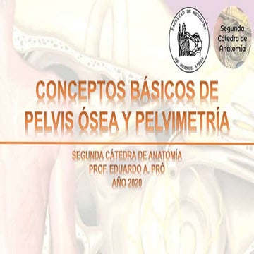 PELVIMETRÍA, PLANOS DE HODGE, DIAMETROS Y EJES DE LA PELVIS .pptx