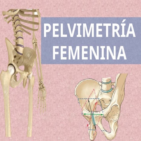 PELVIMETRÍA, PLANOS DE HODGE, DIAMETROS Y EJES DE LA PELVIS .pptx