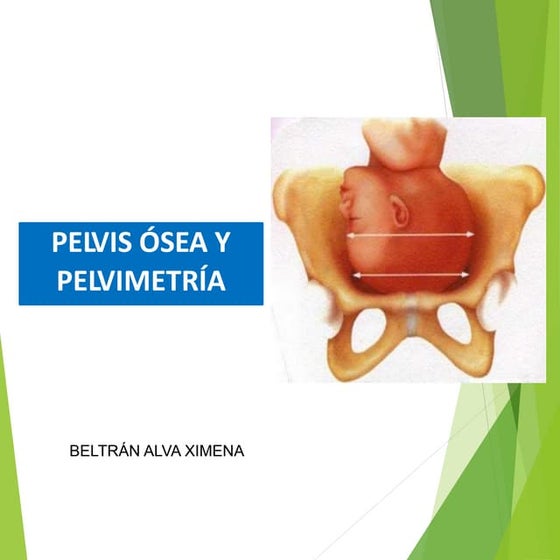 Anatomía de la pelvis, con orientación ginecoobstétrica | PPT