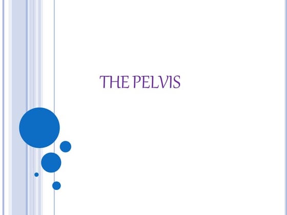 Female pelvis | PPT