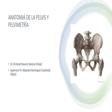 anatomia de la pelvis/pelvis osea, principales caracteristicaspptx | PPTX