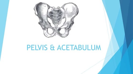 FRACTURES OF THE PELVIS-1.ppt