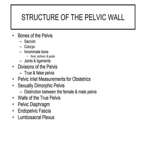 Pelvis Anatomy Lecture 1-Structure of the Pelvic Wall 2016.pdf