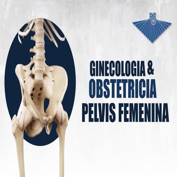 PELVIMETRÍA, PLANOS DE HODGE, DIAMETROS Y EJES DE LA PELVIS .pptx