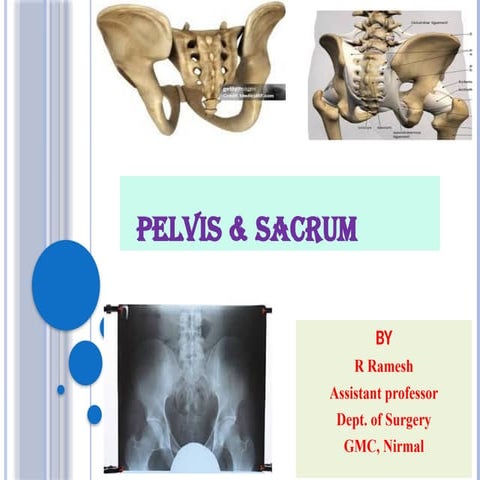 pelvis nd sacrum ppt.pptx and its process | PPTX