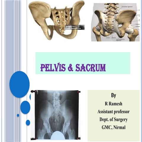 Ppt on pelvis | PPTX