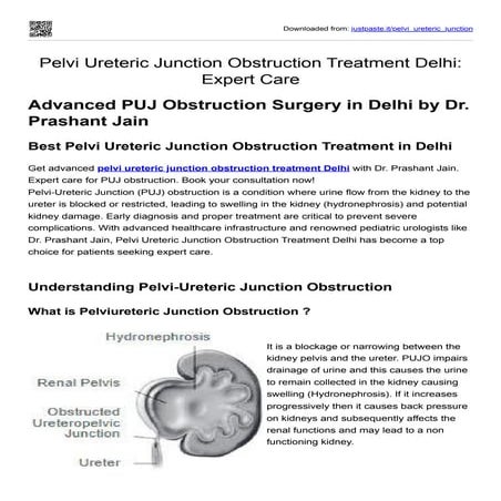 Pelvi Ureteric Junction Obstruction Treatment Delhi: Expert Care | PDF