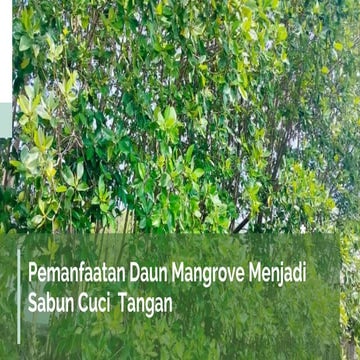Pemanfaatan Daun Mangrove-Kelompok.2.pptx