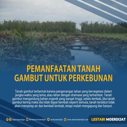 Pemanfaatan Lahan Gabut Menjadi Perkebunan | PDF