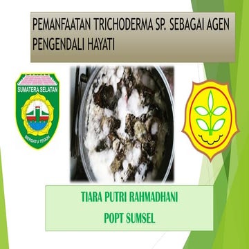 Pemanfaatan Trichoderma Sp Sebagai Agensia Antagonis Pdf