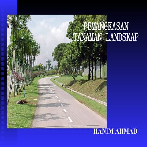 tanaman kelapa sawit | PDF