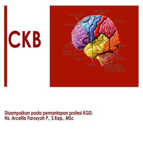 Cidera Kepala Berat (CKB) | PDF