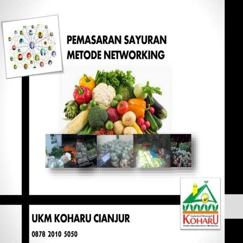 PEMASARAN SAYURAN METODE JARINGAN | PPTX