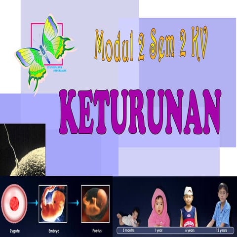 Pembahagian sel modul 2 sem 2 kv | PPT