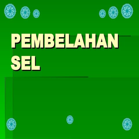 PEMBELAHAN SEL pada manusia dan proses nya..ppt