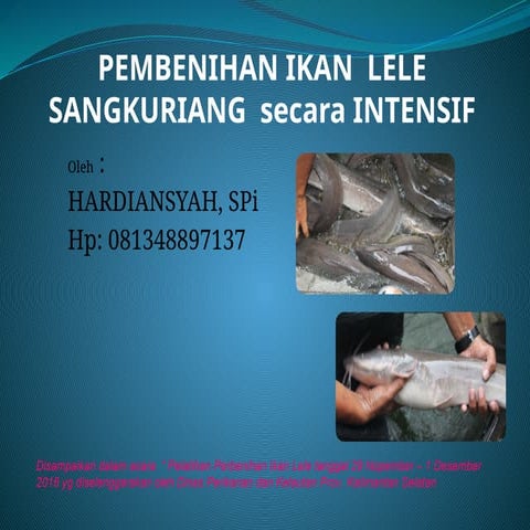 Budidaya Ikan Lele | PPTX