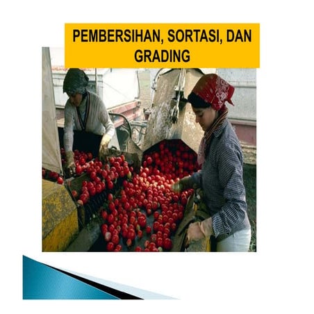 Pembersihan, Sortasi, dan Grading.pdf