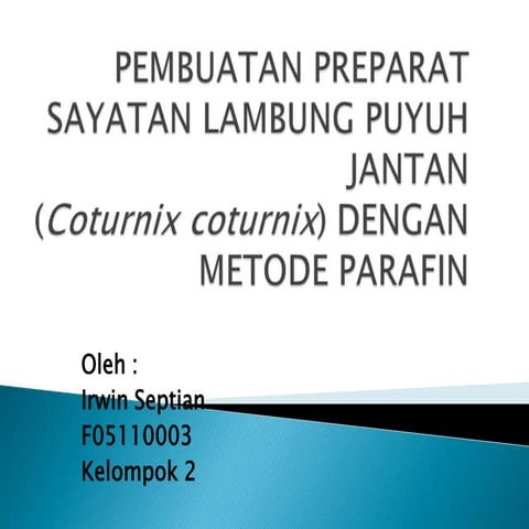 Pembuatan preparat sayatan lambung puyuh jantan irwin septian | PPT