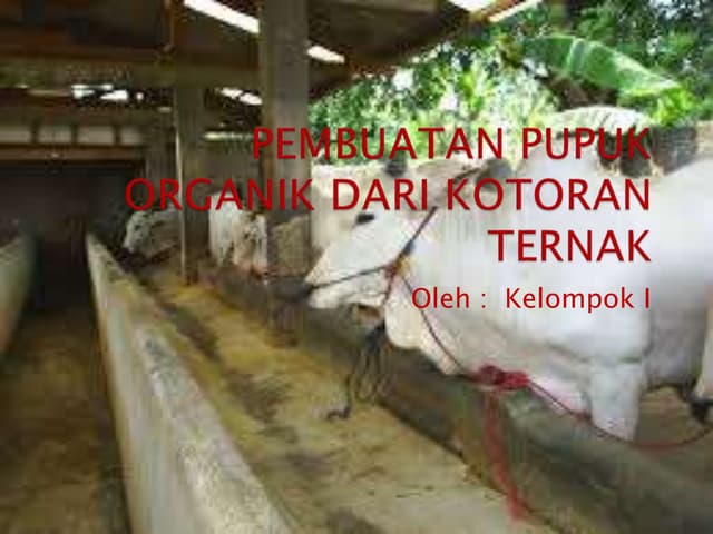 kompos padat kotoran sapi (pupuk kandang) | PDF