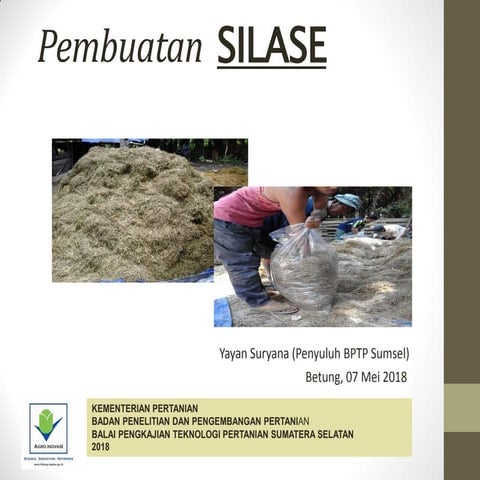 Pembuatan silase | PDF