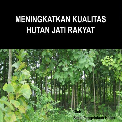 Pemeliharaan Hutan Jati Rakyat | PPT