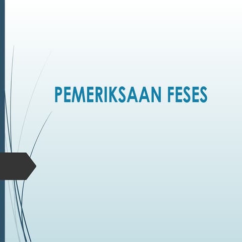 Pemeriksaan Feses rutin dalam laboratorium | PPTX