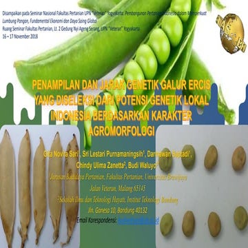 PENAMPILAN DAN JARAK GENETIK GALUR ERCIS YANG DISELEKSI DARI POTENSI ...