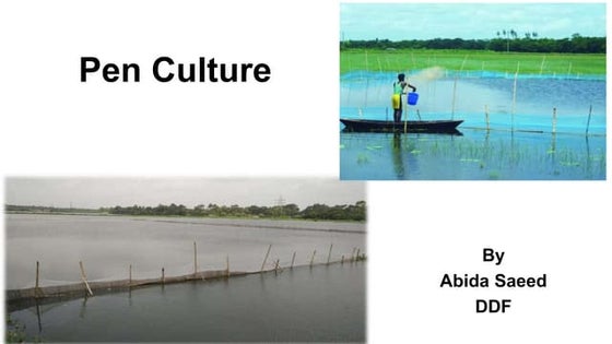 Steps in Pond Preparation (traditional) | PPT