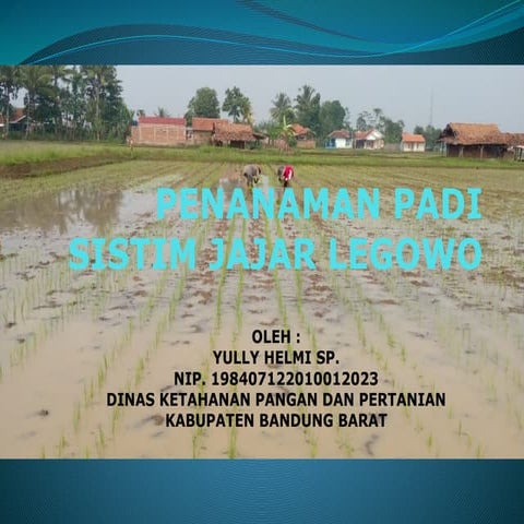PENANAMAN PADI SISTIM JAJAR LEGOWO (JARWO) | PPTX