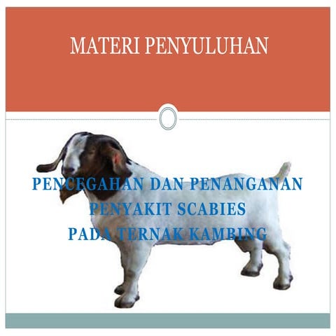 pencegahan dan penanganan penyakit scabies pada ternak kambing.pptx
