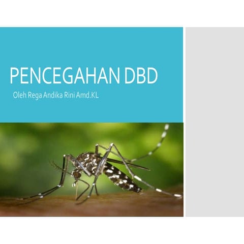 DBD PSN PENCEGAHAN NYAMUK DEMAM BERDARAH | PPTX