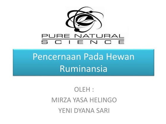 SISTEM PENCERNAAN pada ruminansia SAPI.pptx.ppt