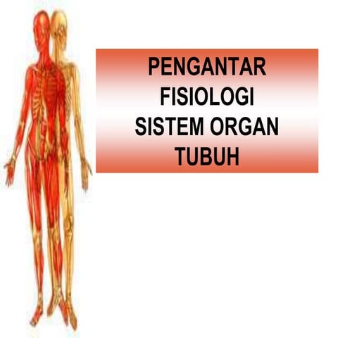 Pengantar_ANATOMI_DASAR_DAN_FISIOLOGI.ppt