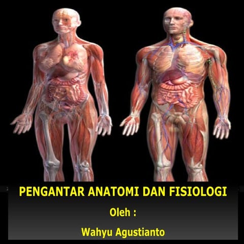 Pengantar Anatomi Fisiologi Manusia | PPT