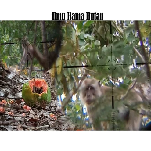 Pengantar mata kuliah hama hutan (kehutanan).pptx