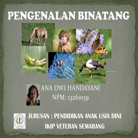 Pengenalan binatang | PPTX