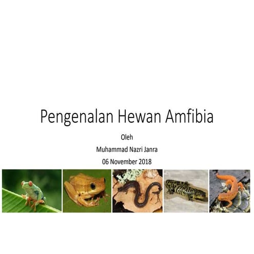 Pengenalan hewan amfibia | PDF