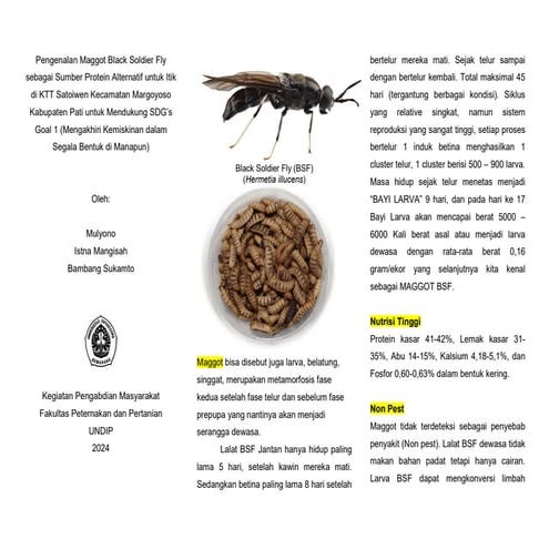 Pengenalan Maggot Black Soldier Fly sebagai Sumber Protein Alternatif ...