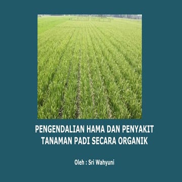 Pengendalian Hama Penyakit Padi Secara Organik.pptx