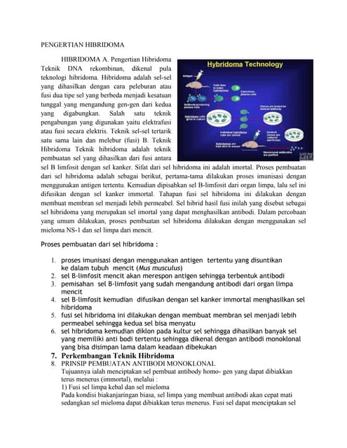 Pembuatan Insulin dengan Teknik Rekombinasi DNA | PPT