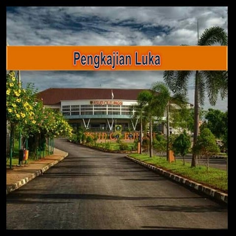 Pengkajian-Luka (2) ppt edukasi penyuluhan kadr kesehatan masyrakat ...