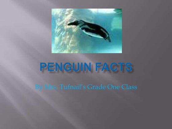 Emperor Penguin | PPT