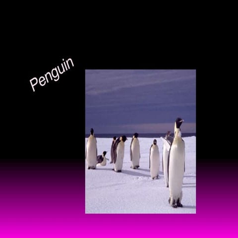 Penguinpowerpoint 110625114950-phpapp01 | PPT