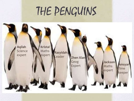 Unit 3 Lesson 5 BODY COVERING OF ANIMALS.pptx