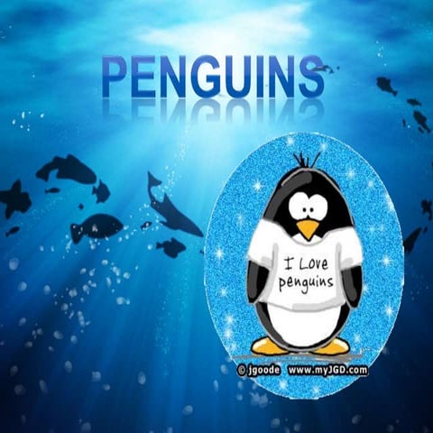 Penguins | PPT