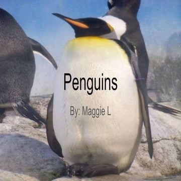 Penguins | PPT