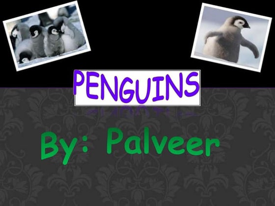 Penguins | PPT