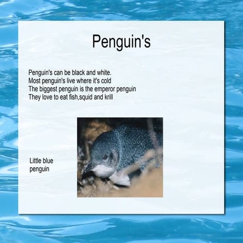 Penguins, By William | PPT
